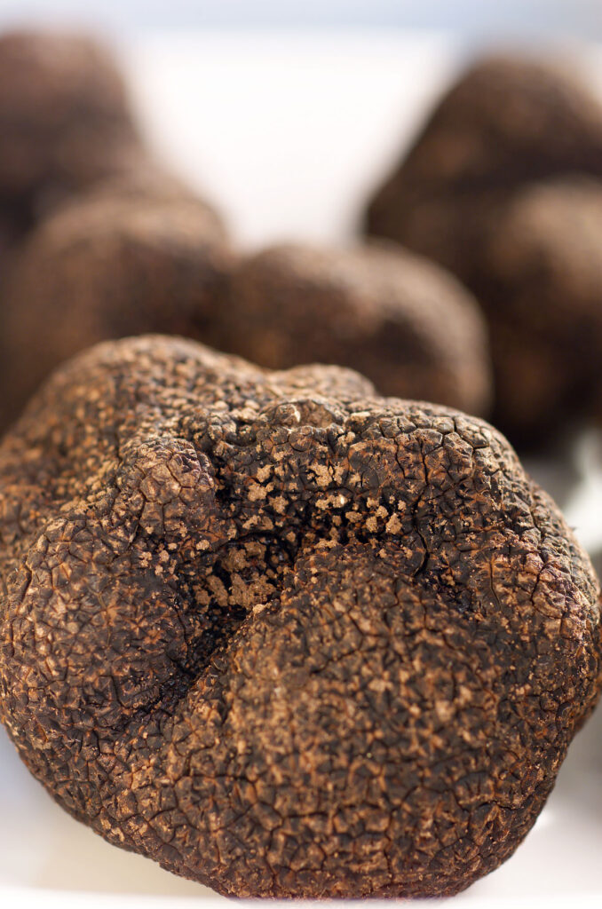 A chaque saison sa truffe ! Les meilleures truffes fraîches
